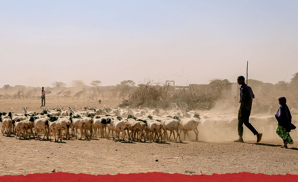 Africa Hunger Crisis