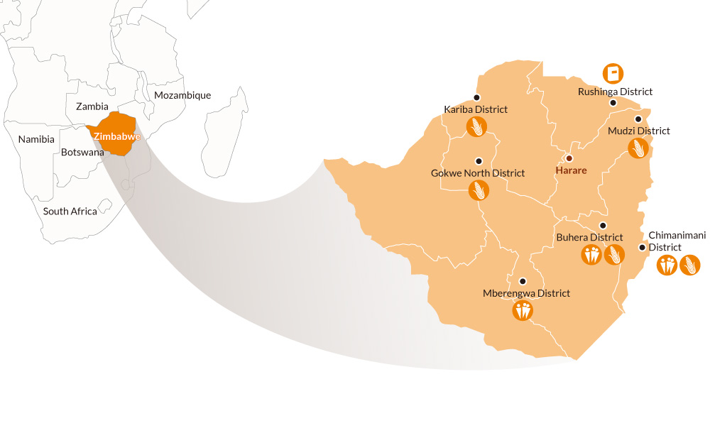 World Vision Hong Kong in Zimbabwe (2021)